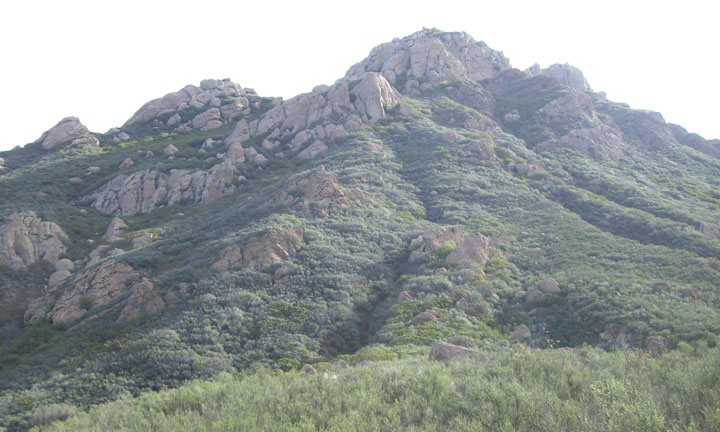 Boney Mountain Trail Half Marathon