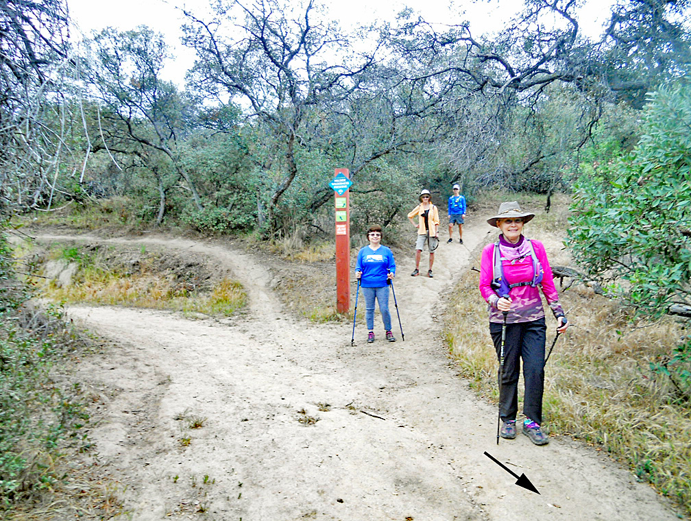 Cloverleaf / Hairpin Loop Trail