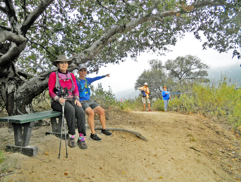 Cloverleaf / Hairpin Loop Trail