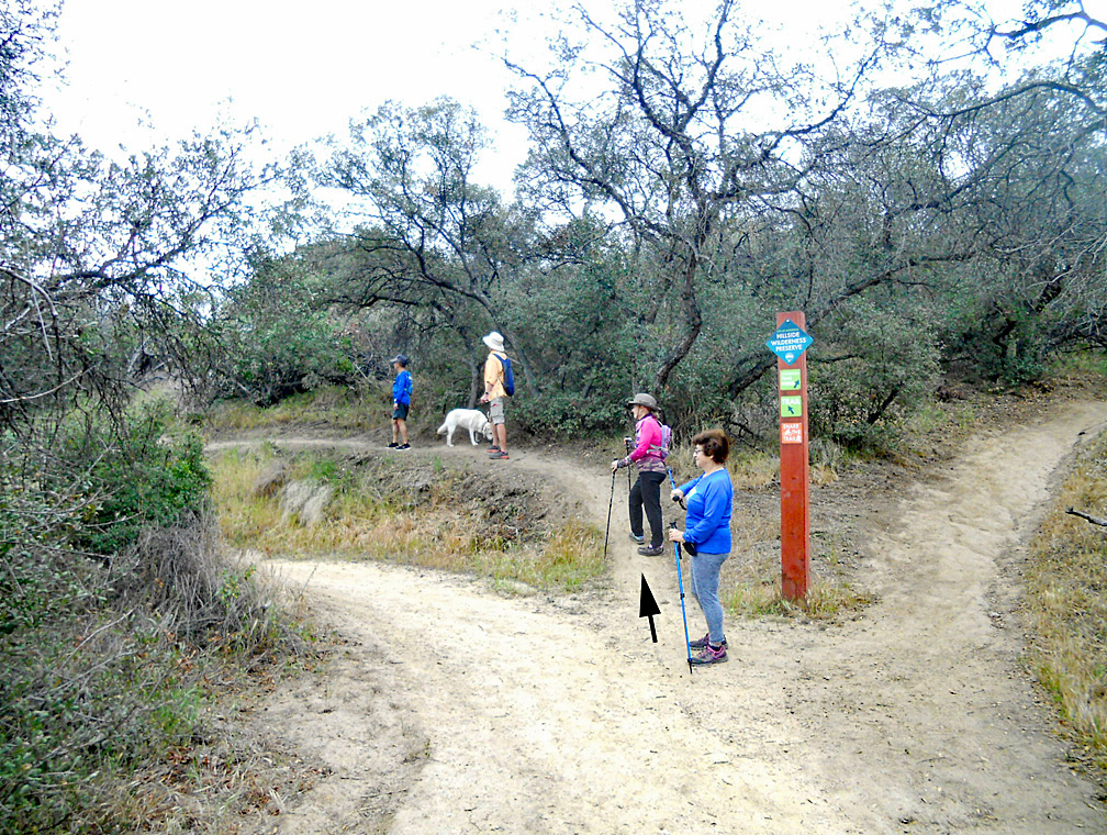 Cloverleaf / Hairpin Loop Trail
